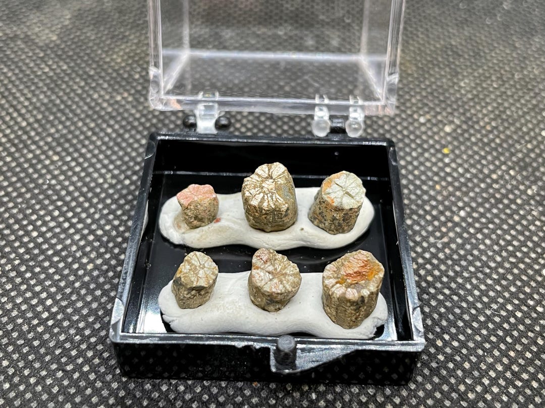 RARE Pink Specimens Sakura Ishi Cherry Blossom Stone Cerasite From ...