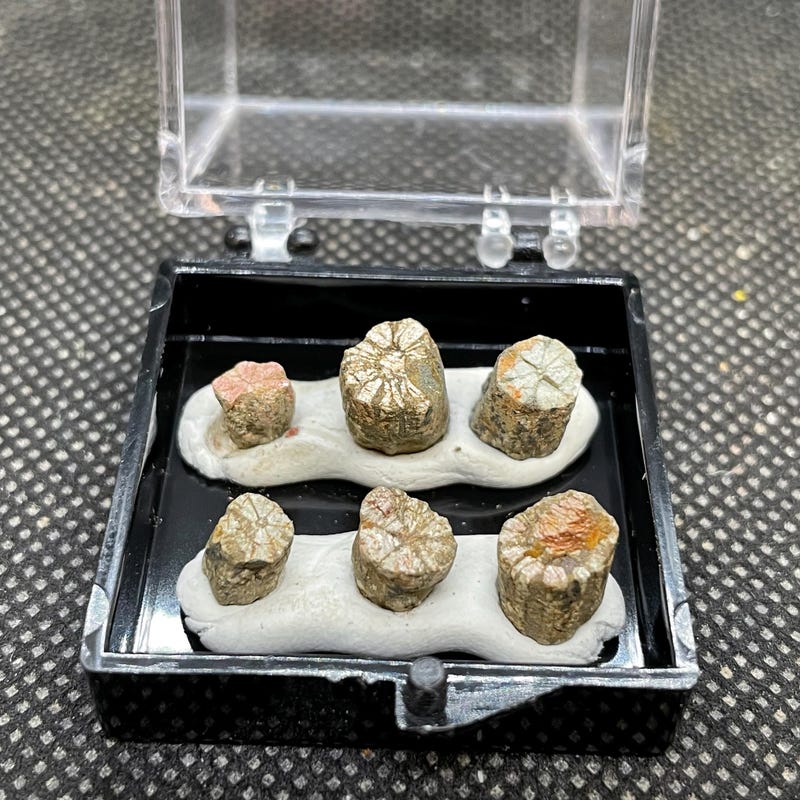 Cherry Blossom Stone - Etsy