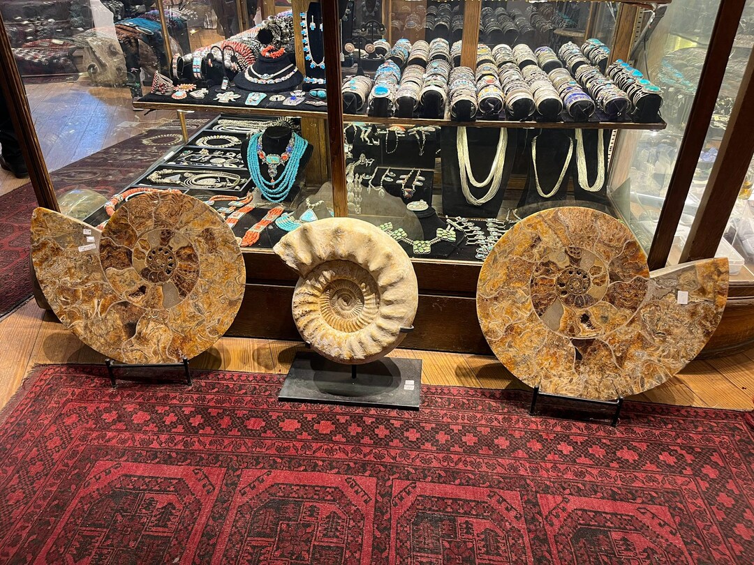 Pair Huge Fine Natural Specimen Ammonite Two Pieces Split in Half From ...