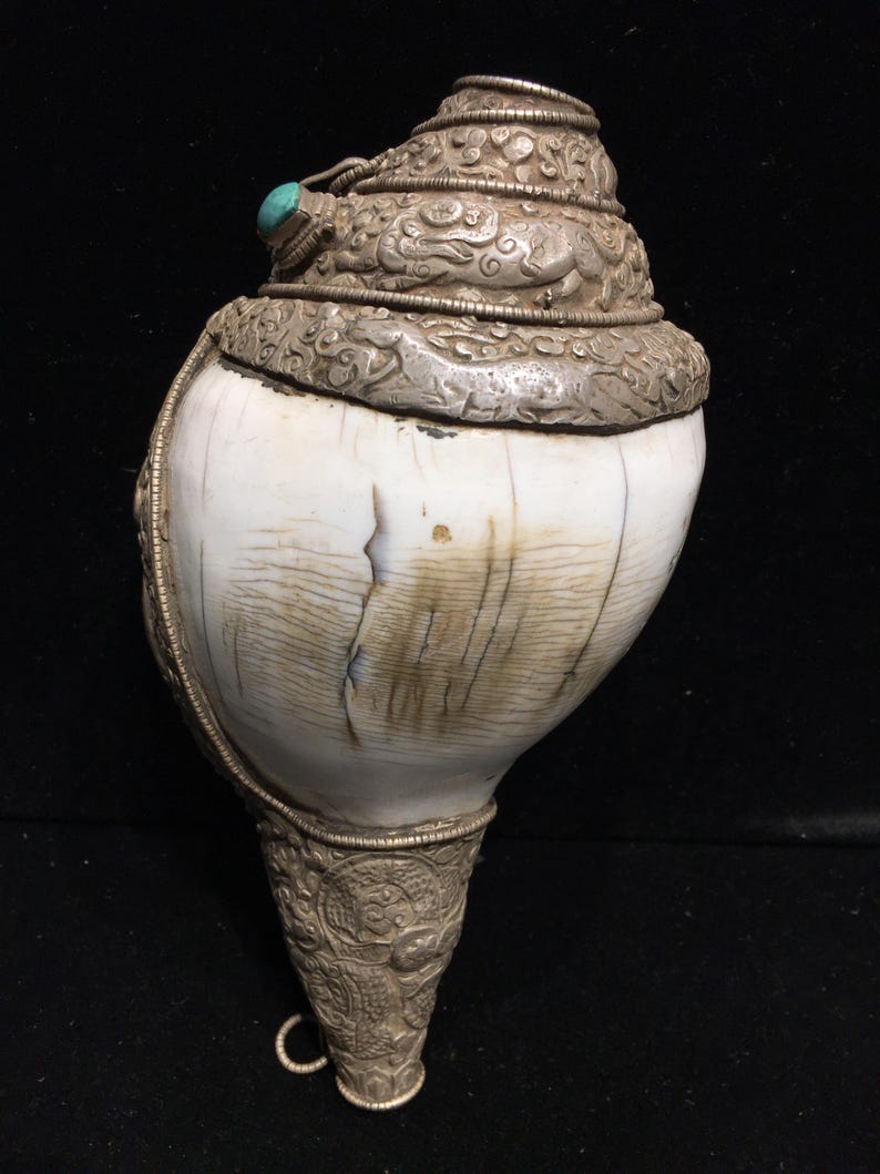 Antique Tibetan Conch Shell Horn: Sterling Silver Repousse, Turquoise ...