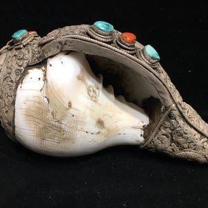 Antique Tibetan Conch Shell Horn: Sterling Silver Repousse, Turquoise ...