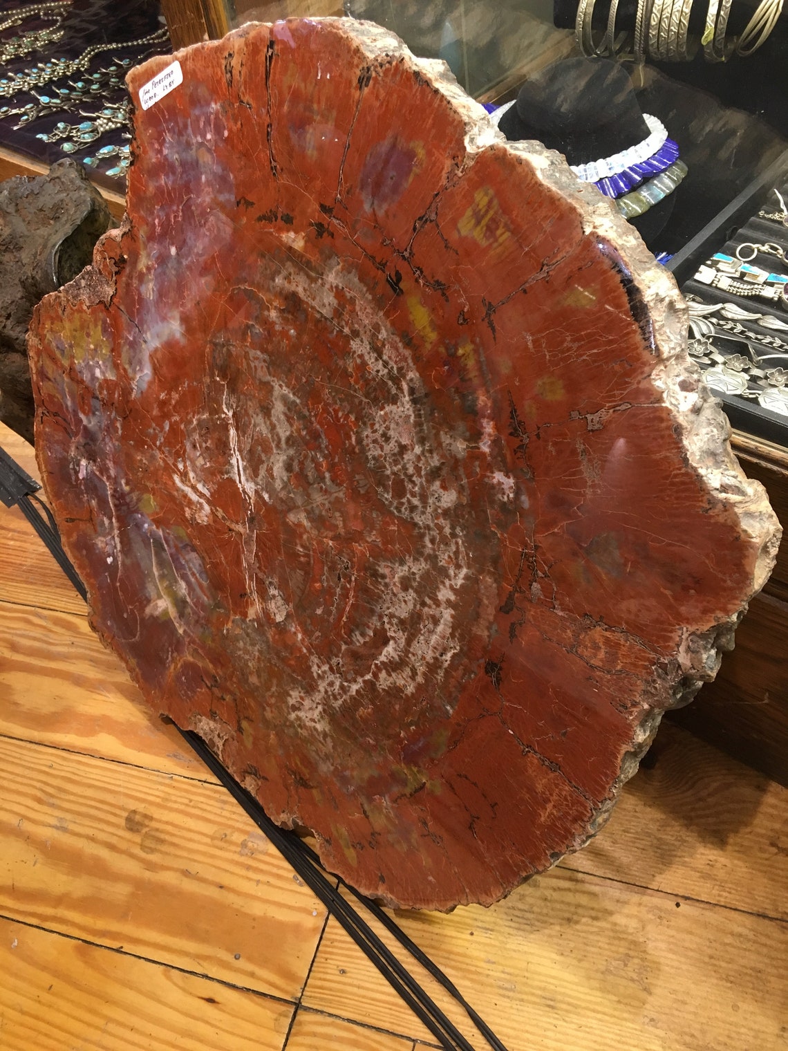 EXTRA FINE Petrified Wood Desirable Red Color Natural Specimen Holbrook ...
