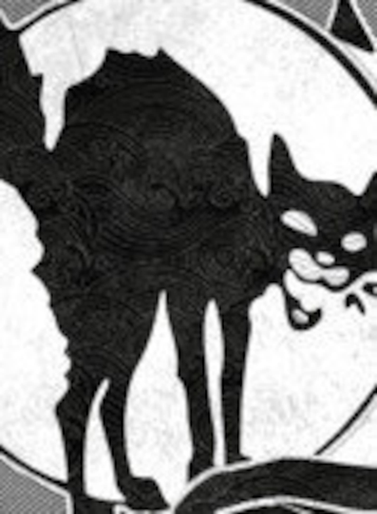 IWW Sabo Cat and Black Panther Party the Black Cat That - Etsy