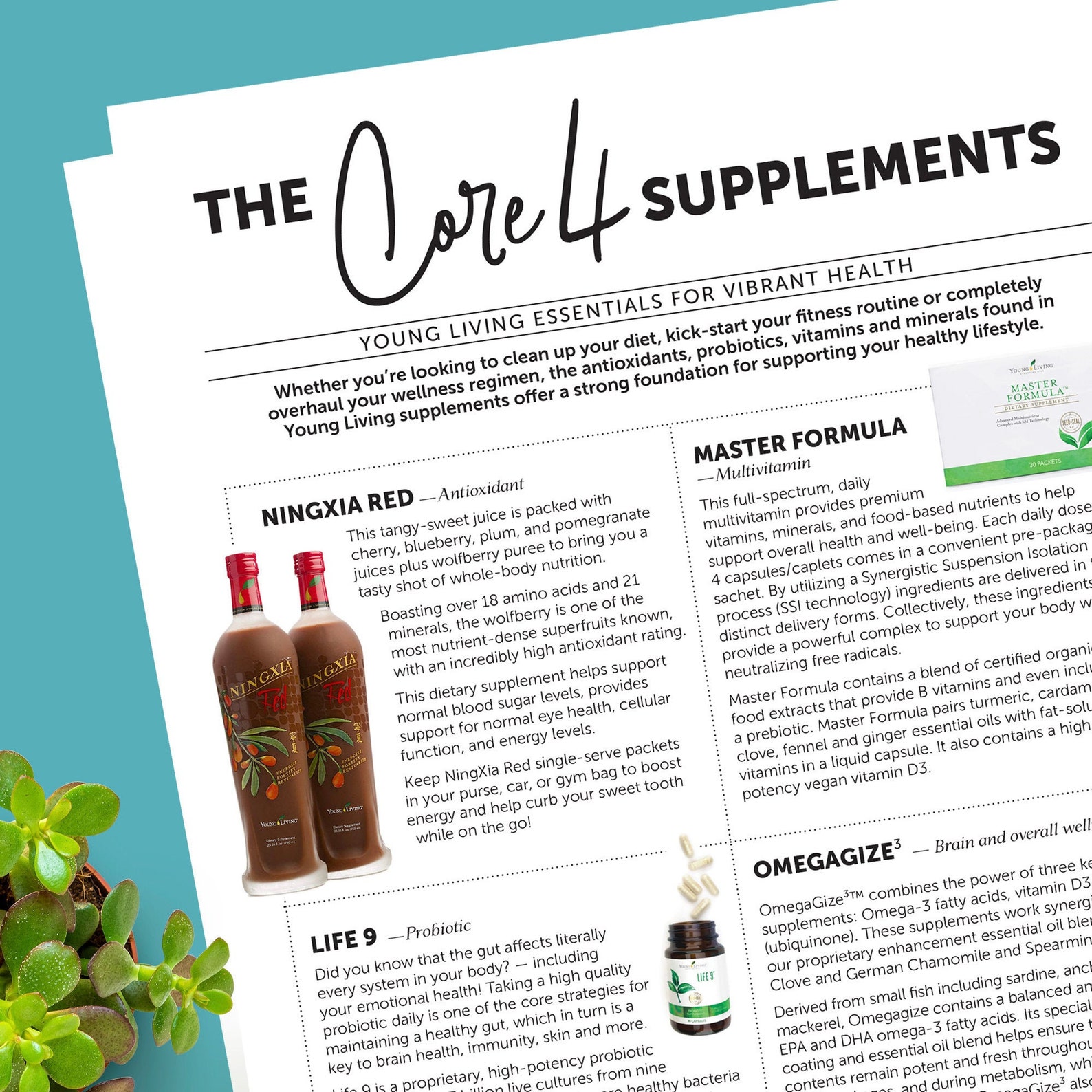 Core 4 Young Living Supplements Handout W/ Essential Rewards - Etsy