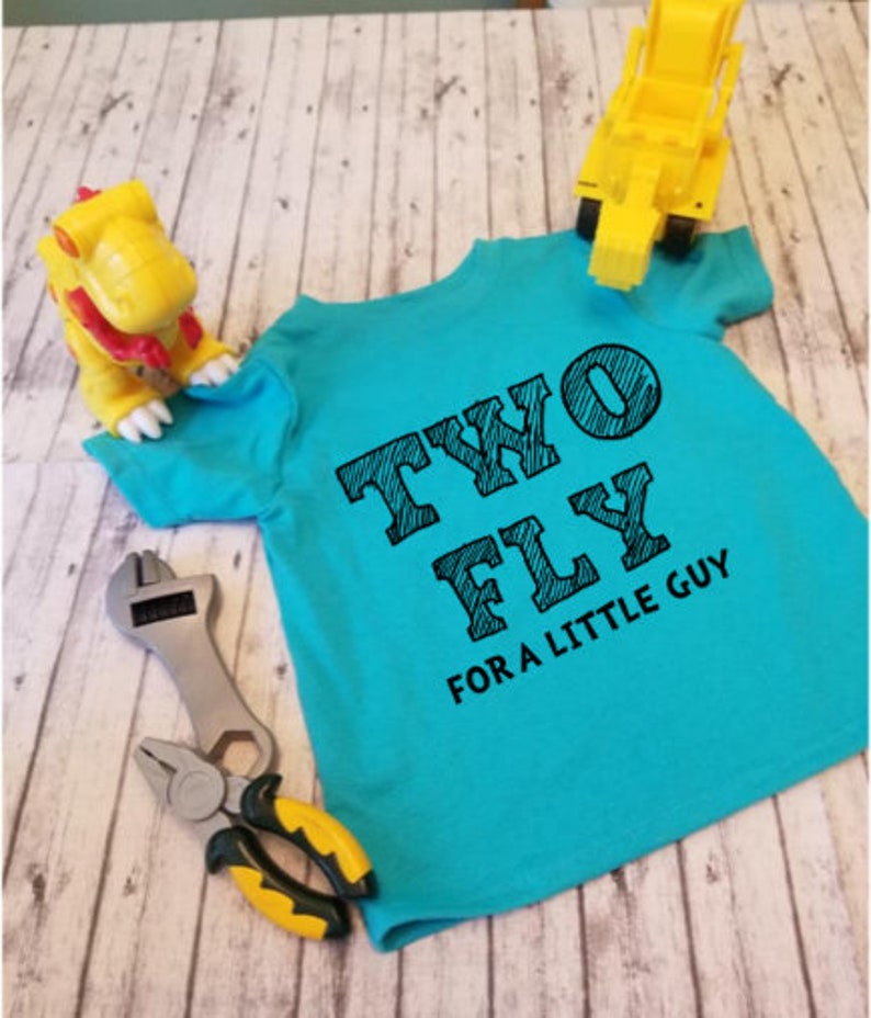Two Fly for a Little Guy SVG - Etsy