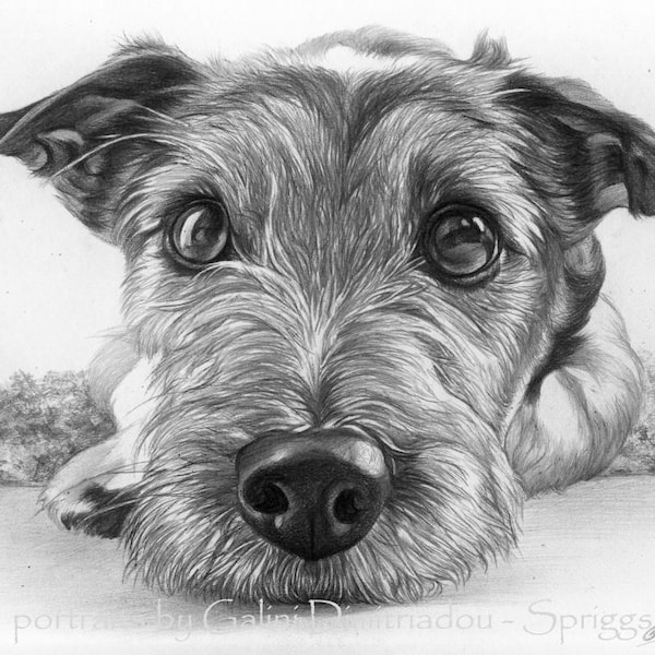 Dog Portrait - Etsy UK
