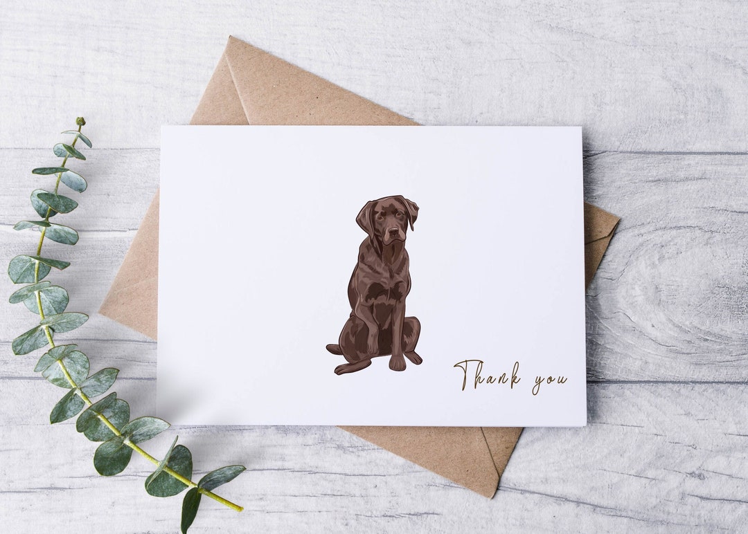 Chocolate Labrador Retriever Thank You Card / Luxury Linen Textured ...