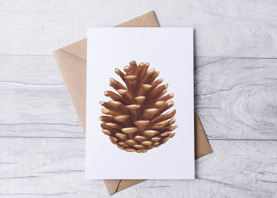 Pinecone Winter Card Set / Blank Note Cards / Folded Notecards / Thank ...