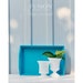 Fusion Mineral Paint, Azure, Bright Turquoise Furniture Paint, Water ...