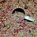 Dried Red Rose Petals and Lavender Buds. 100% Organic. Air Dried ...