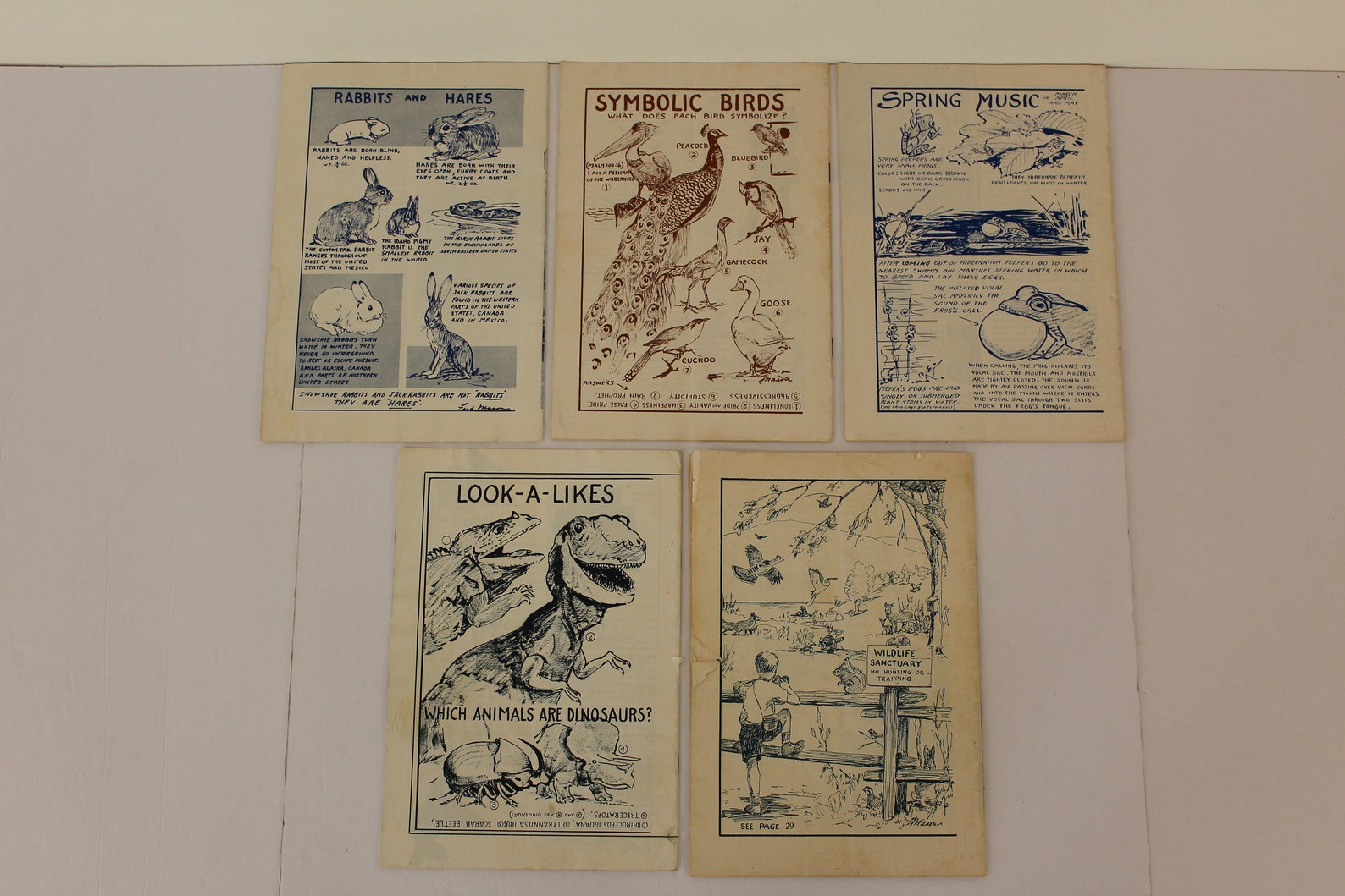 Lot of 11 Vintage Junior Natural History Magazines - 1959 & 1960 - Etsy