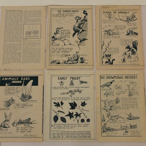 Lot of 11 Vintage Junior Natural History Magazines - 1959 & 1960 - Etsy