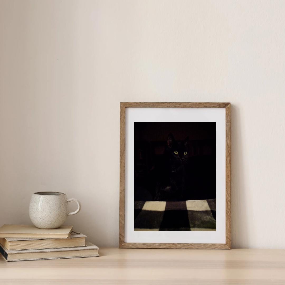 Mysterious Feline: Moody Cat Artwork | Digital Print for Home Decor - Etsy
