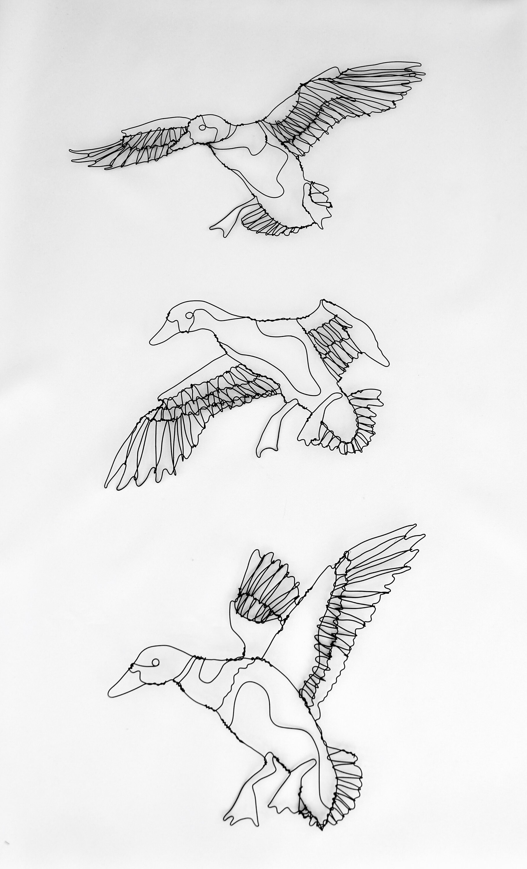 Ducks Duck Art Bird Sculpture Bird wall art Wall hanging | Etsy