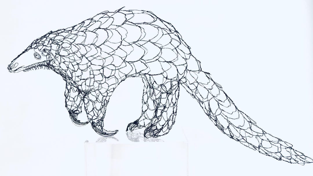Wire Pangolin Sculpture, Endangered Animal Art, Wire Drawing - Etsy