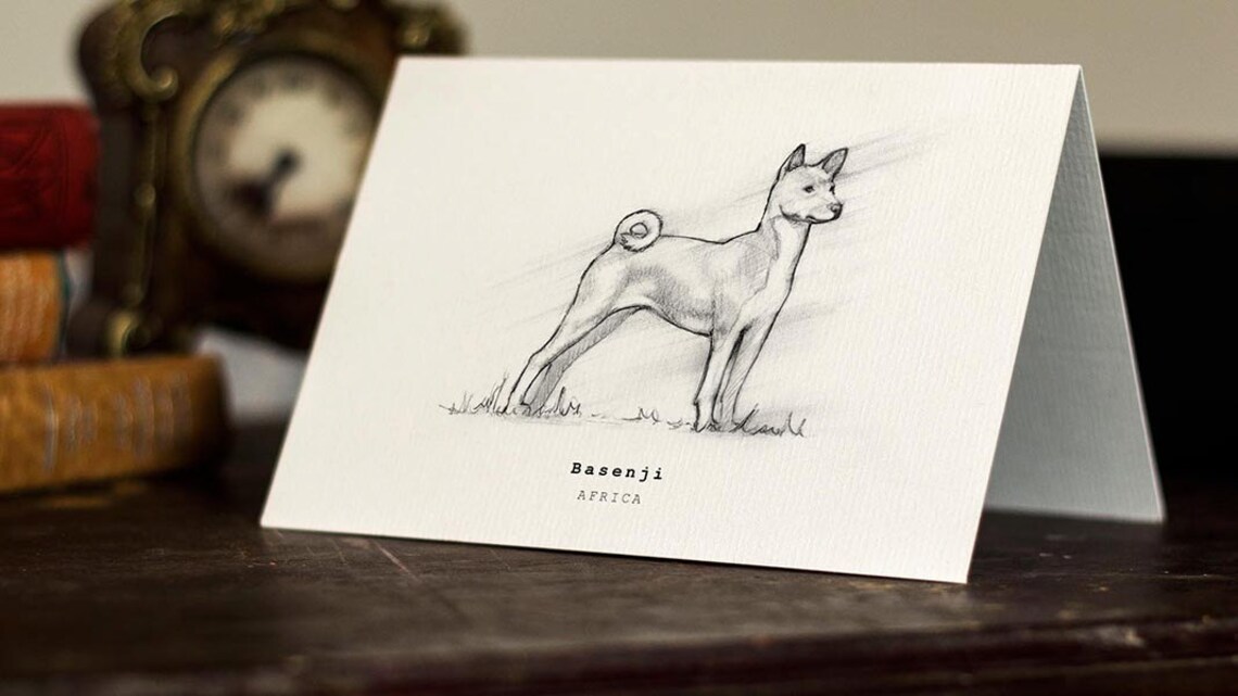 Basenji Greeting Card Beautifully Drawn Print Quality Card - Etsy