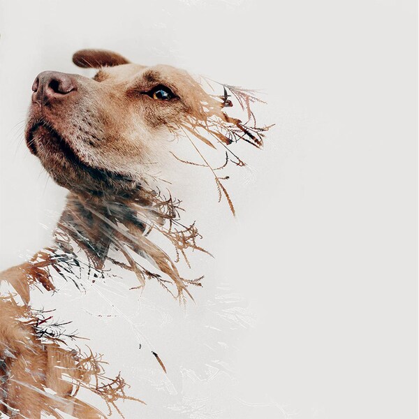 Double Exposure - Etsy