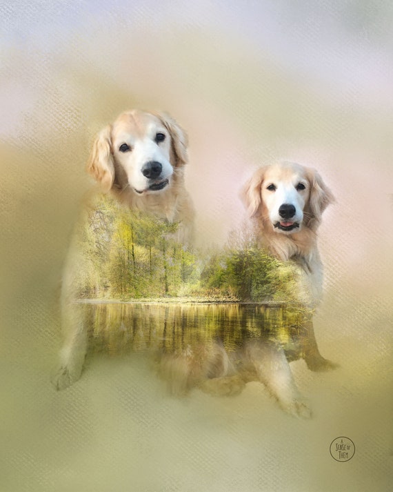 Custom Dog Memorial Portrait Custom Pet Portrait double | Etsy