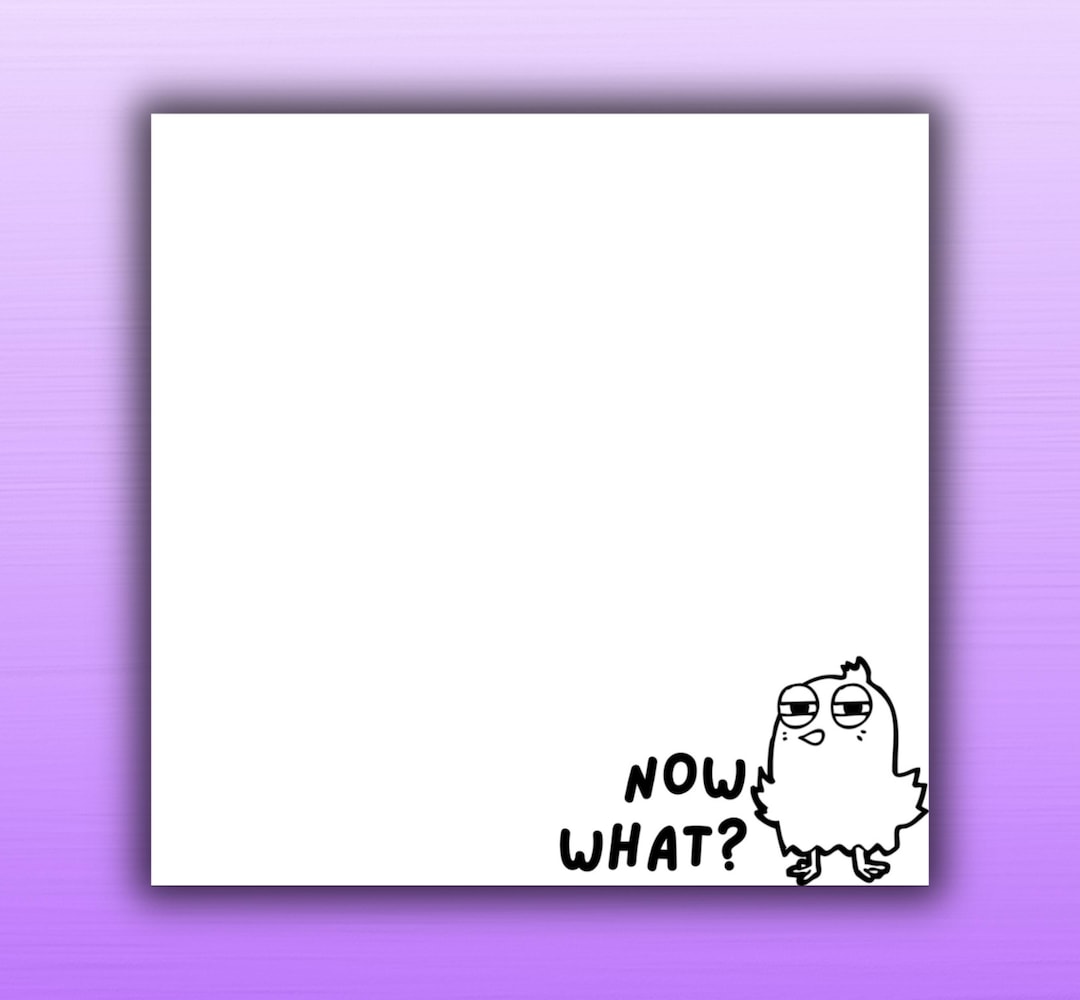 Now What Sticky Notes, Funny Sticky Notes, Funny Notepad, Funny Office ...