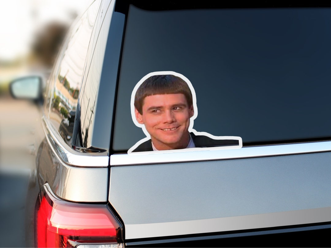 Dumb and Dumber Car Decal, Funny Car Decal, Funny Bumper Stickers ...