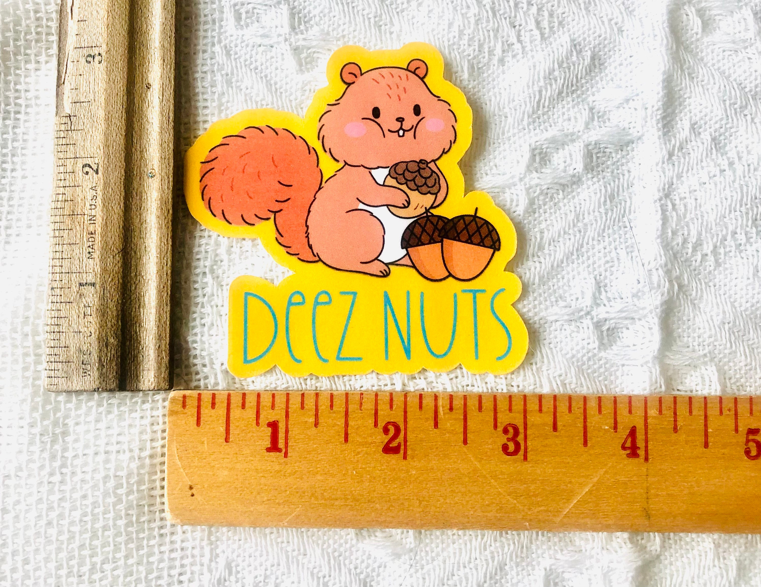 Deez Nuts Squirrel Sticker Fall Sticker Squirrel Acorn - Etsy