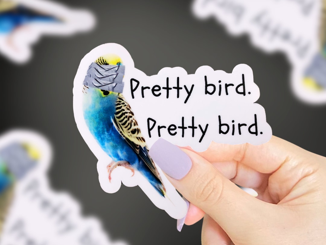 Sticker mooie vogel, sticker dom en stom, sticker grappige filmcitaat ...