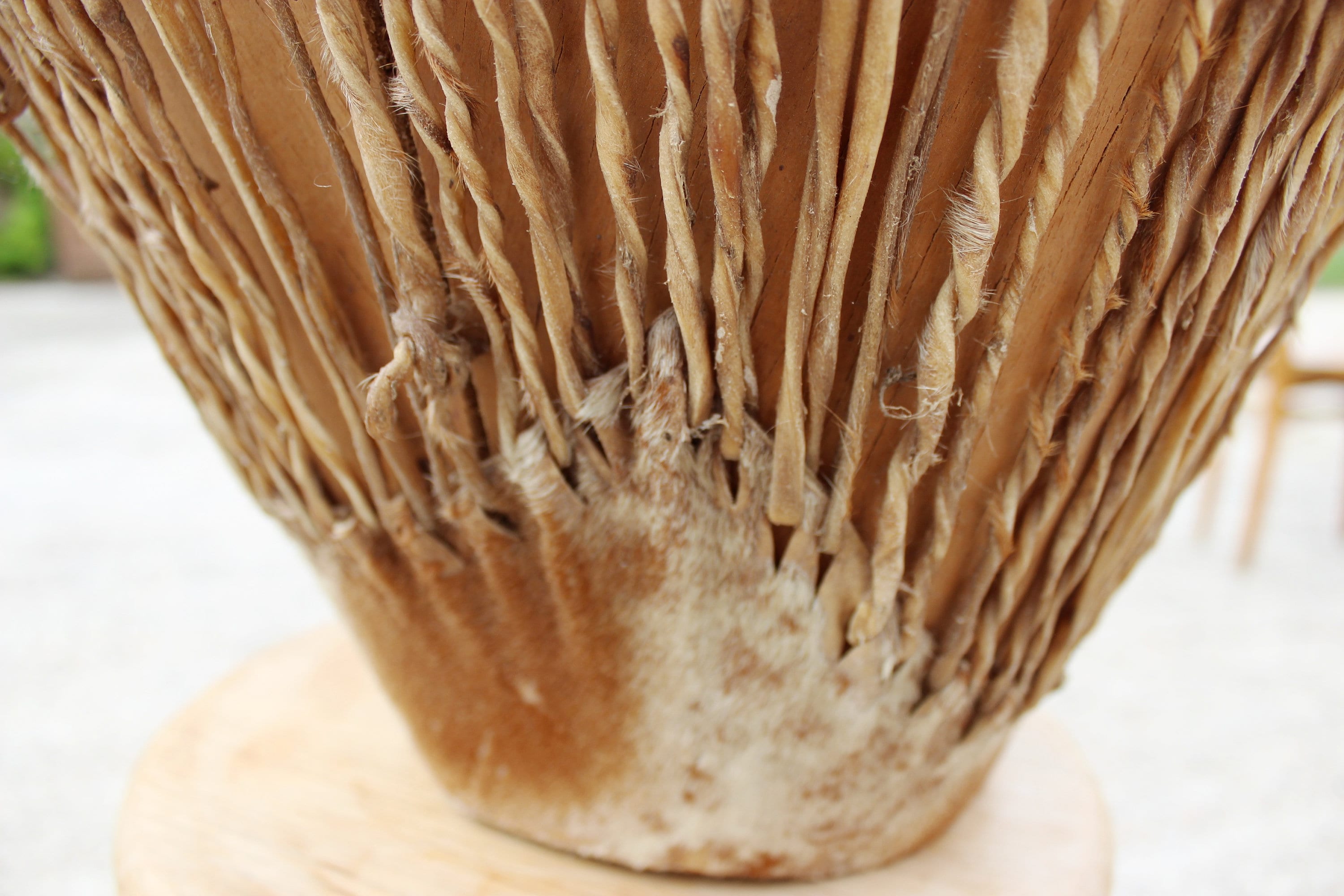 Vintage Goat Skin Drum-authentic Tribal-african Djembe-folk - Etsy UK