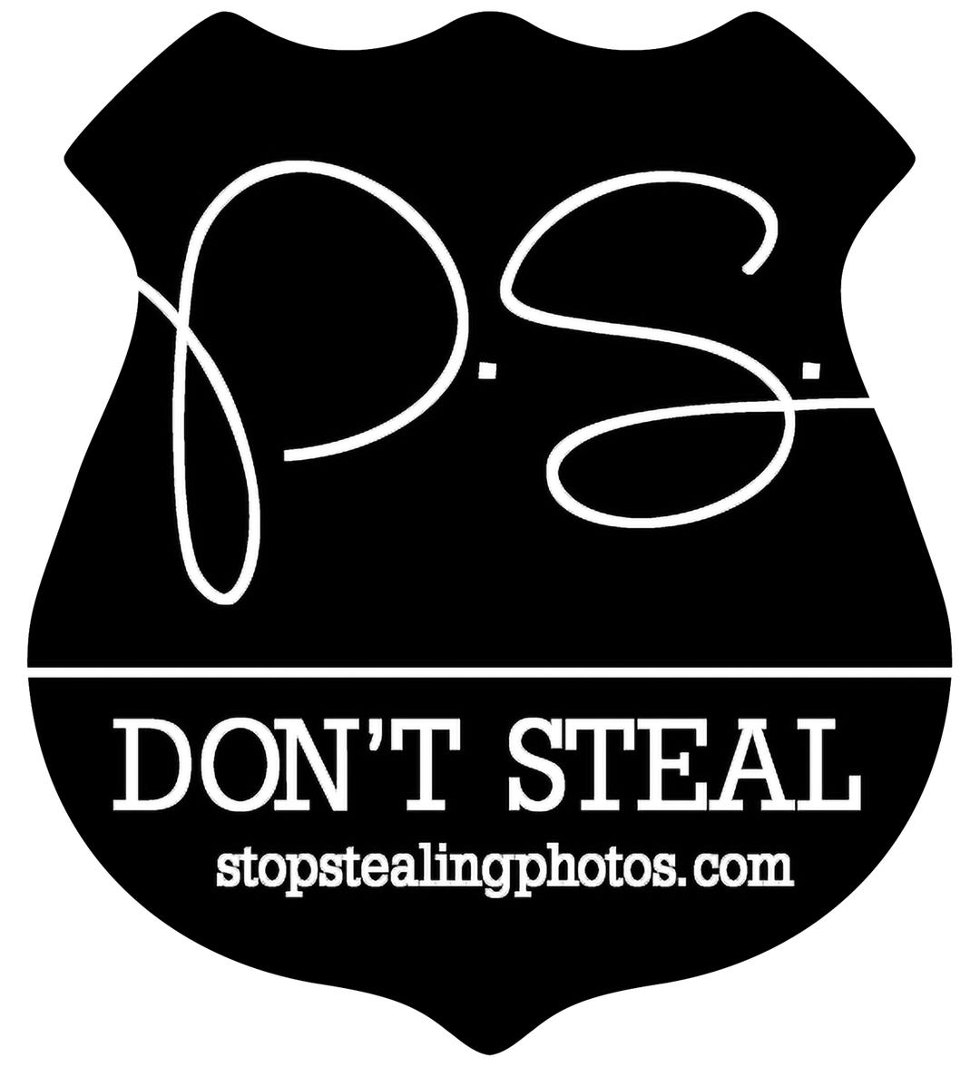 Photo Stealers Photo Police Sticker - Etsy