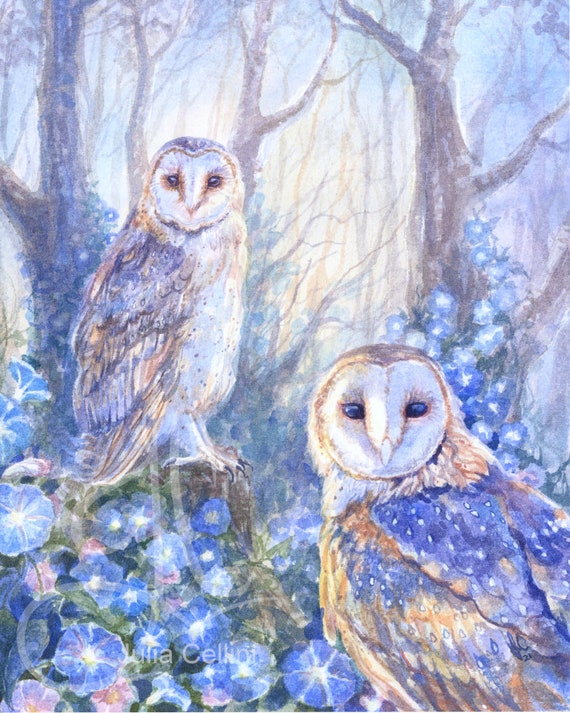 Morning Of Owl Issue