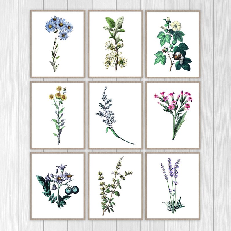Set of Botanical Prints | Set of 9 | Antique Botanical | Victorian ...