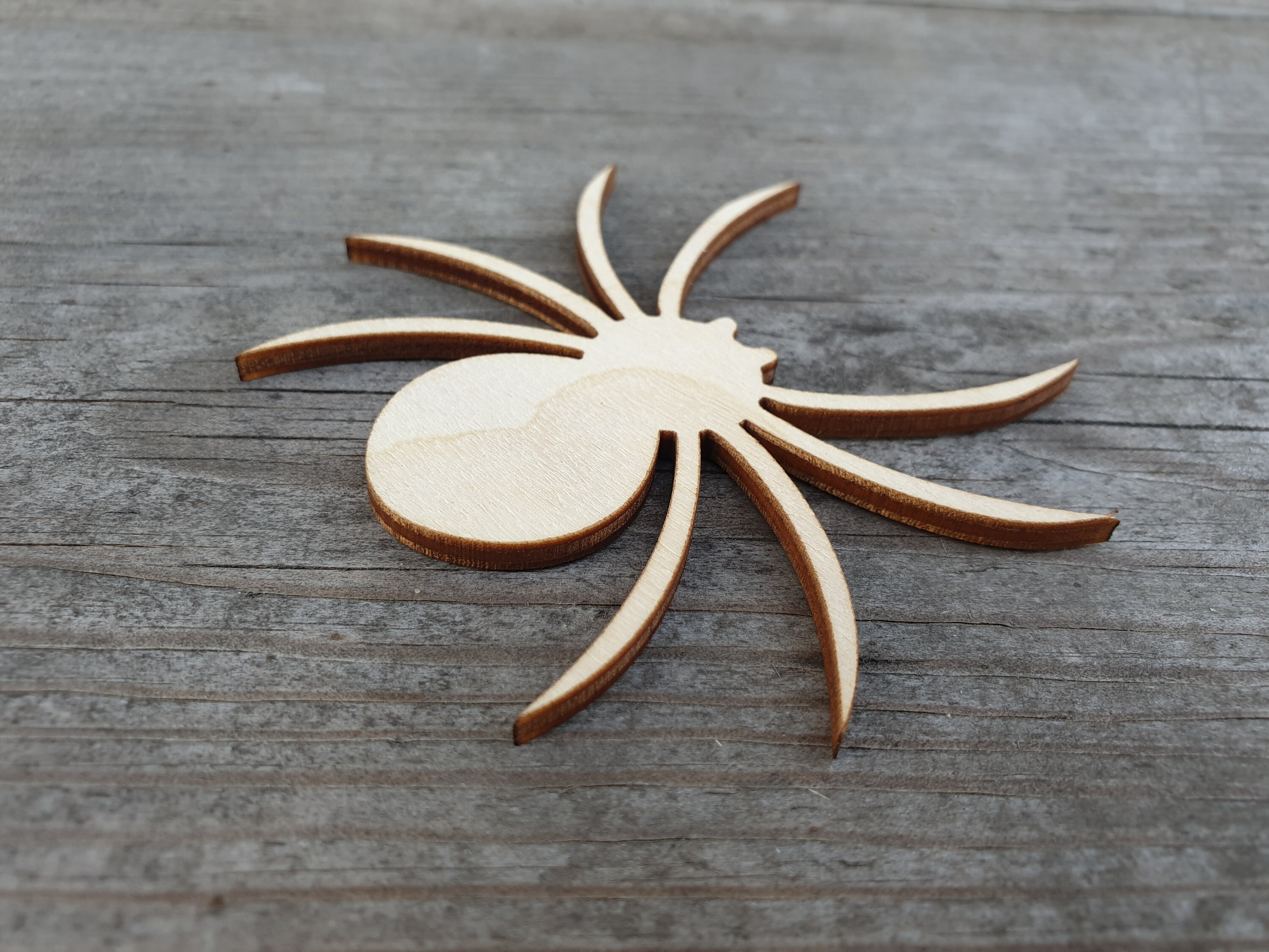 Spider Shape MULTIPLE SIZES Spider Cutout Laser Cut - Etsy