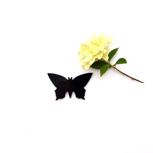 Acrylic Butterfly Shape, 1/8 Inch Thickness, Acrylic Butterfly Cutouts ...