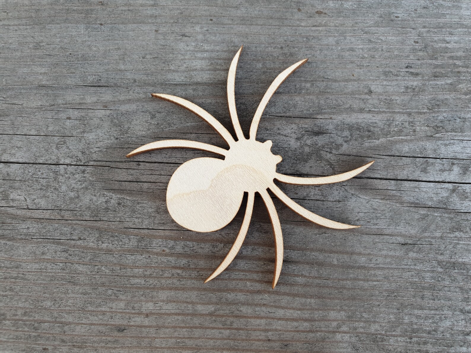 Spider Shape MULTIPLE SIZES Spider Cutout Laser Cut - Etsy