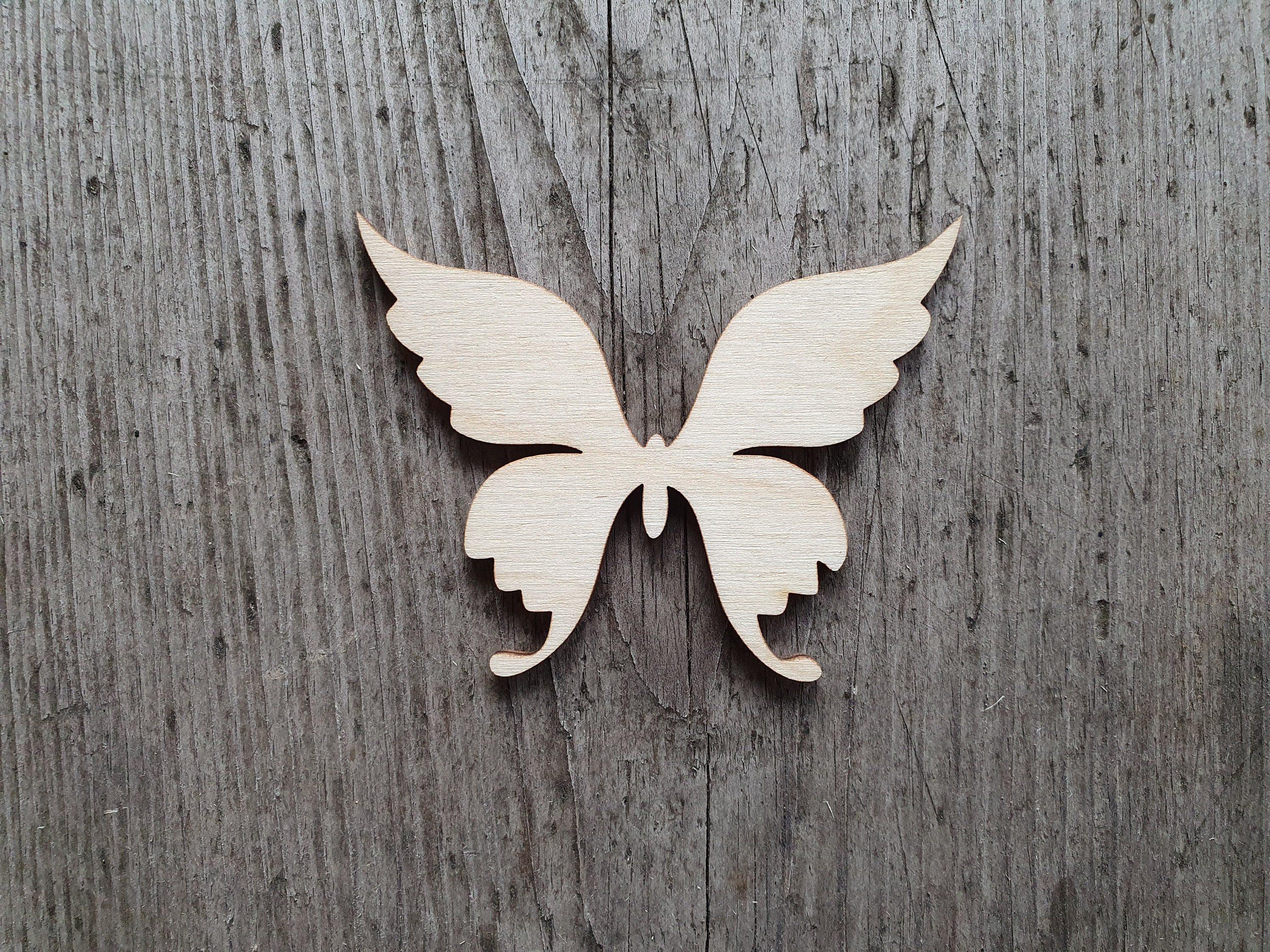 Butterfly Cut Out Shape
