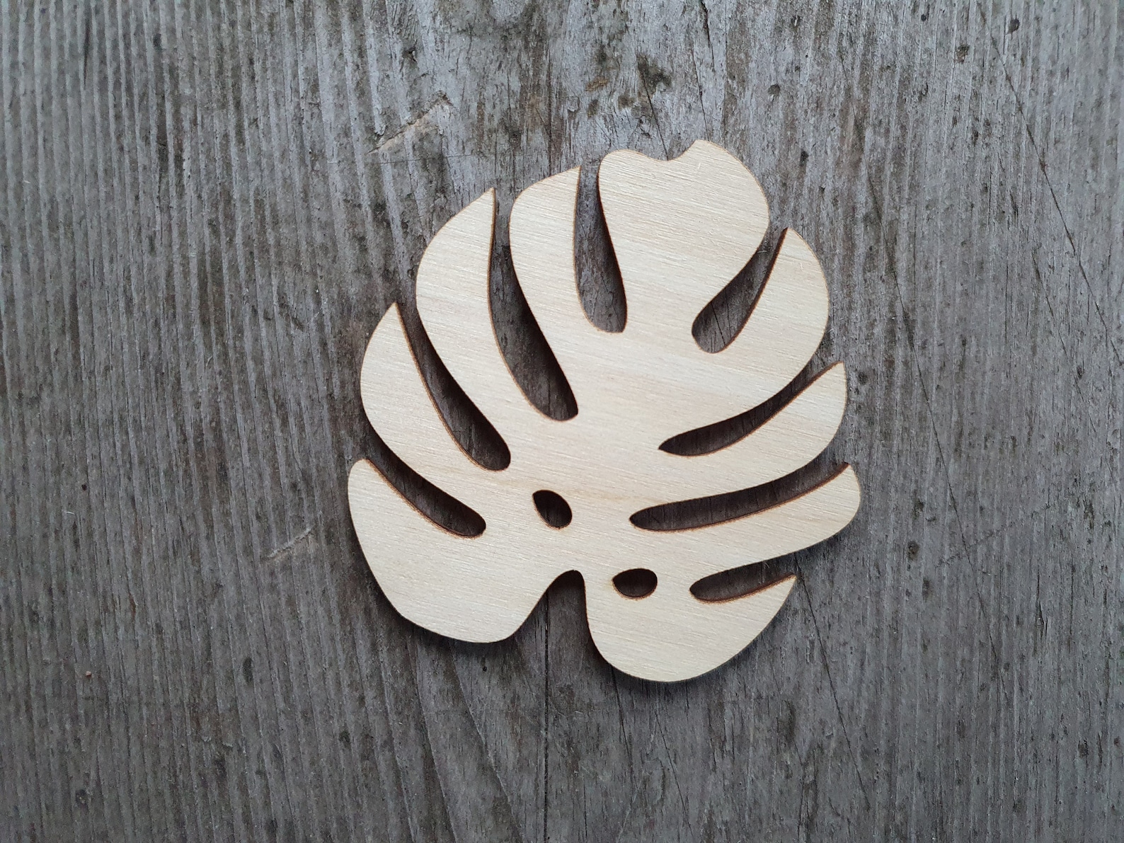 Monstera Leaf Shape3 20 Monstera Deliciosa Cut - Etsy