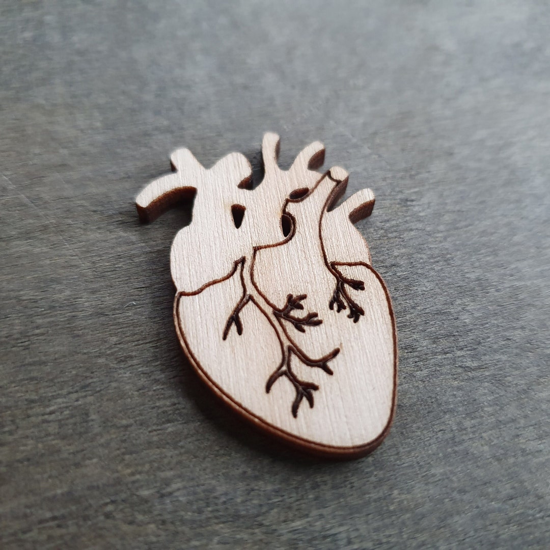Laser-cut Anatomical Heart Shape for DIY Craft or Decoration Projects ...