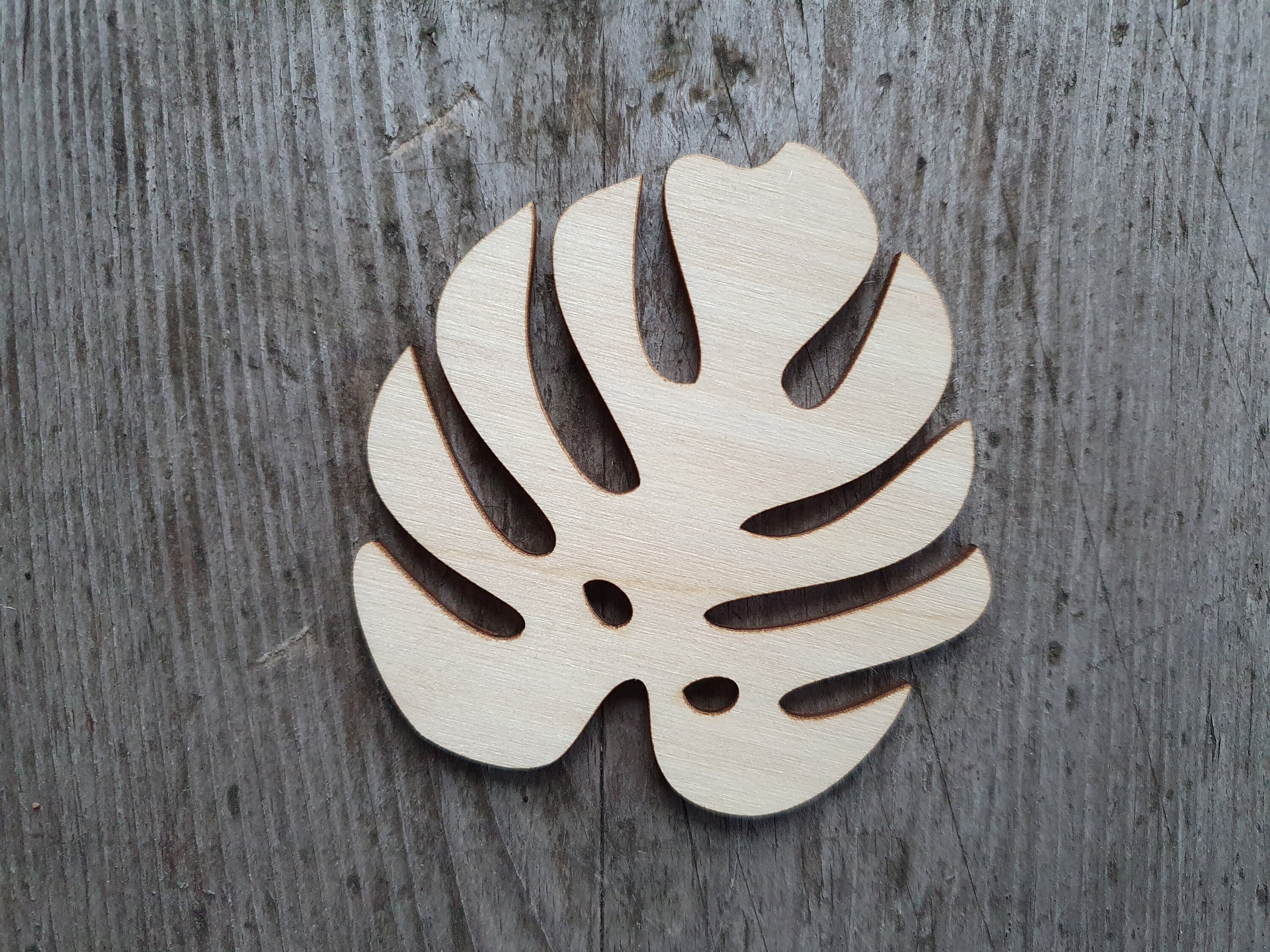 Monstera Leaf Shape3 20 Monstera Deliciosa Cut - Etsy