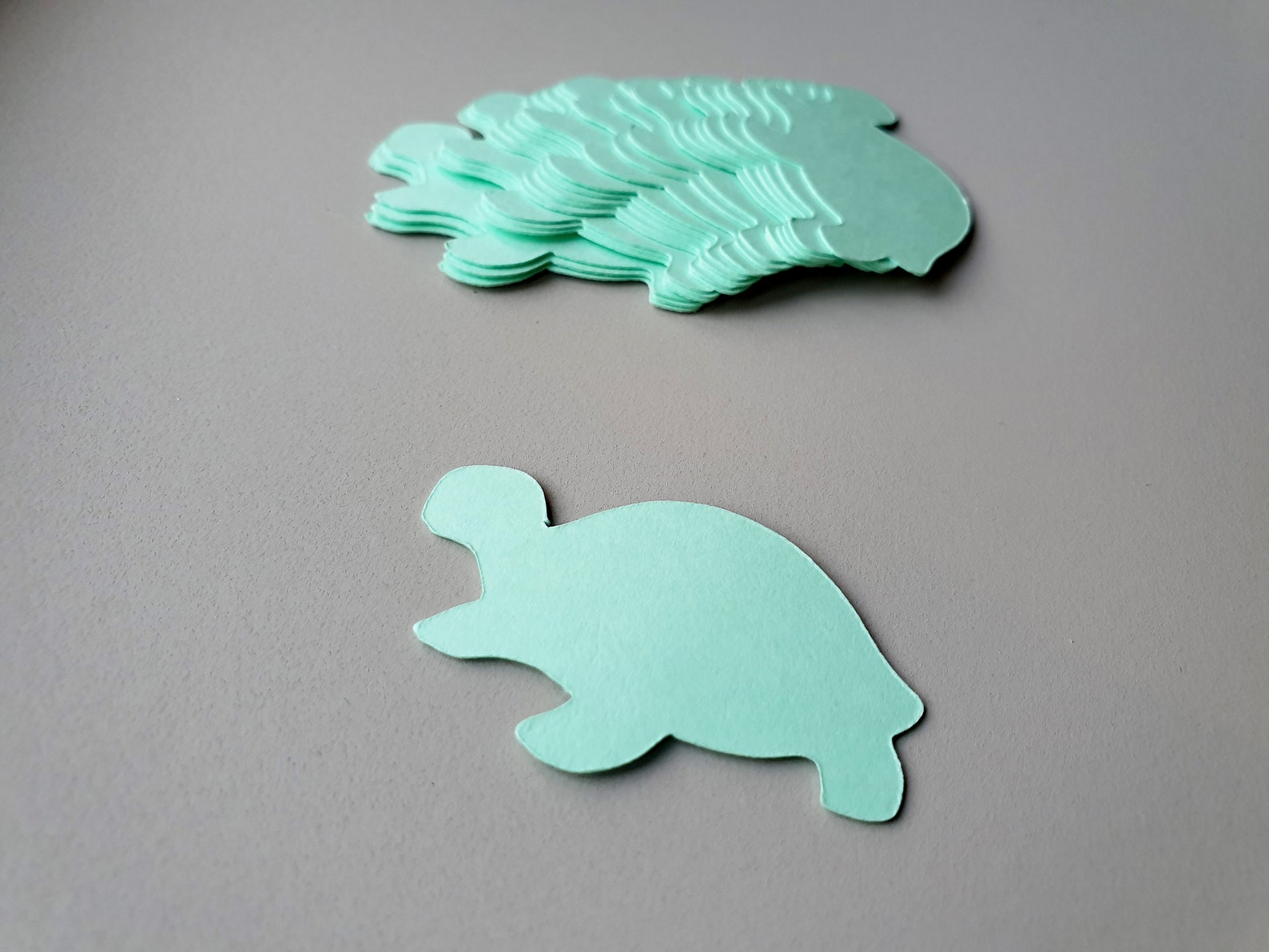 Turtle Cut Out MULTIPLE SIZES 20 Pieces Turtle Die Cuts | Etsy