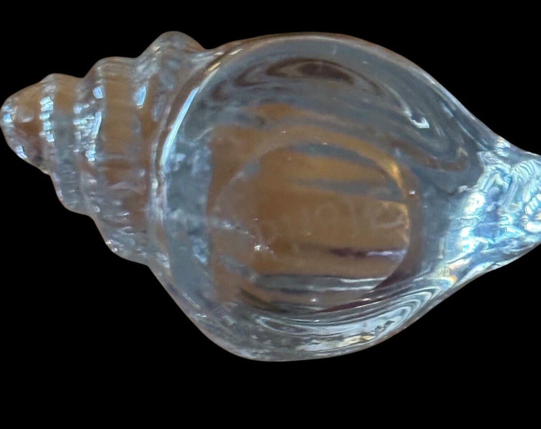 Vintage Conch Sea Shell Clear Glass Art Paperweight 5" - Etsy
