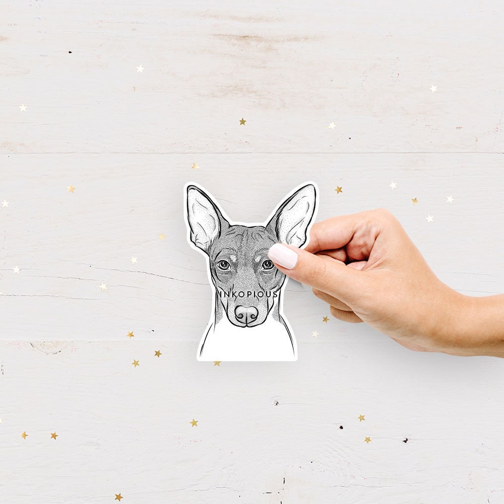 Knox the Rat Terrier Decal Sticker Gifts for Dog Lovers - Etsy