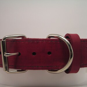 Leather Dog Collar Red with Nickel Plated Hardware Free | Etsy