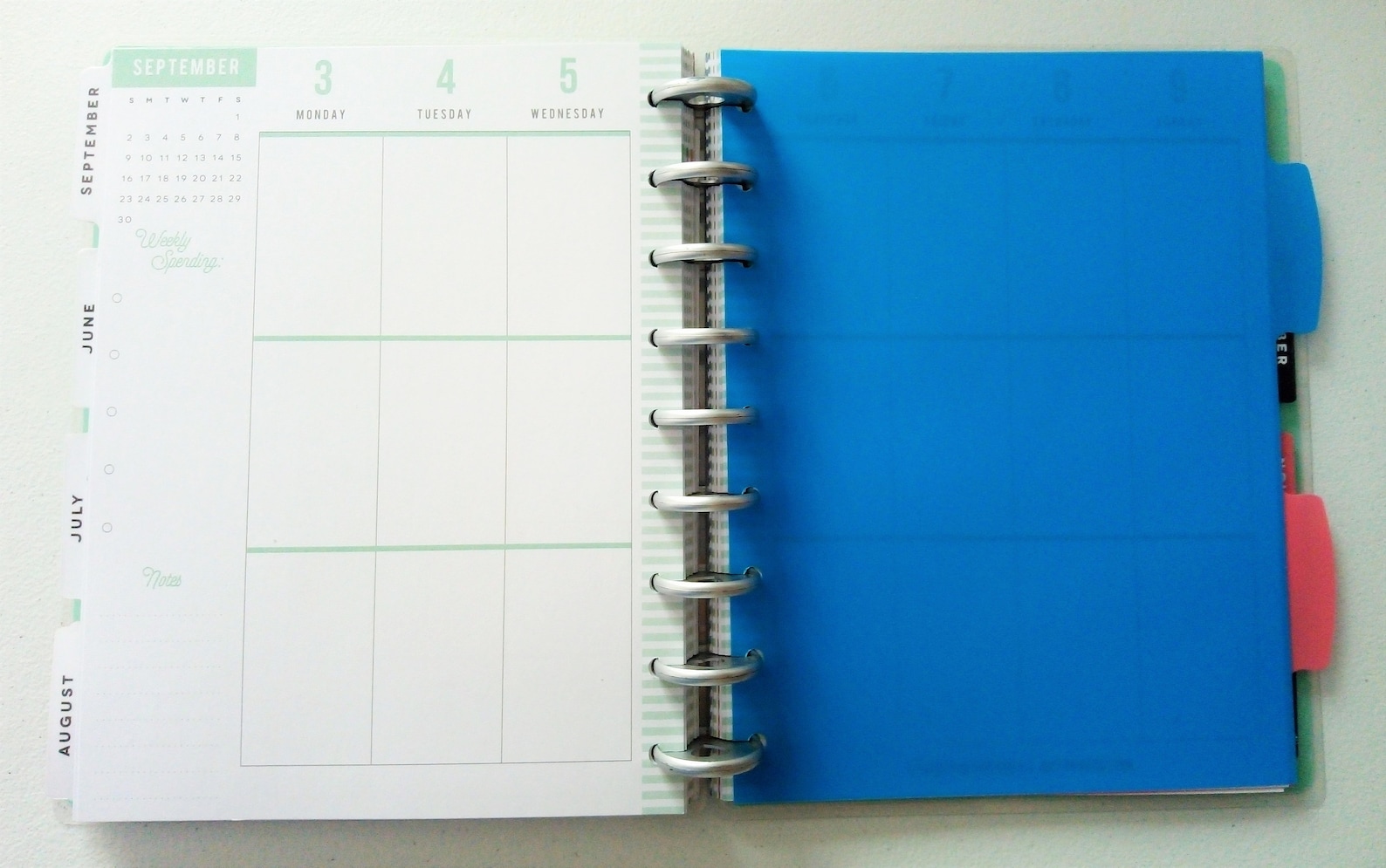 Disc Tab Dividers Index Dividers Daily Planner Divider | Etsy