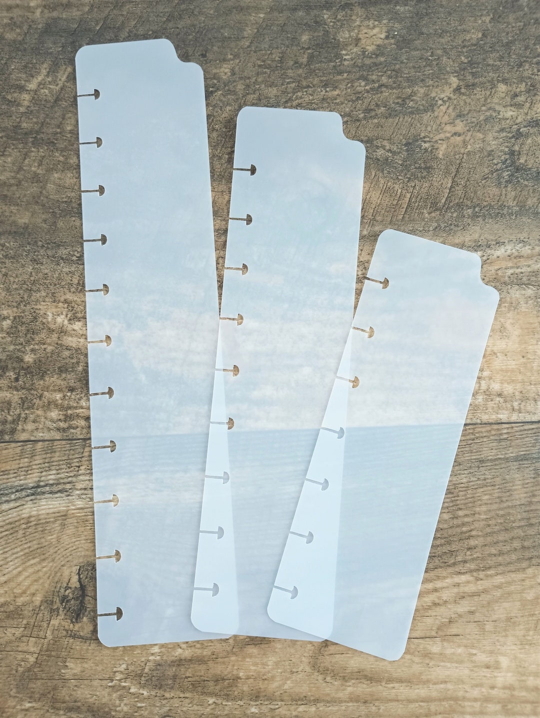Frosty Planner Bookmark, Daily Planner Insert, Disc Planner Insert ...