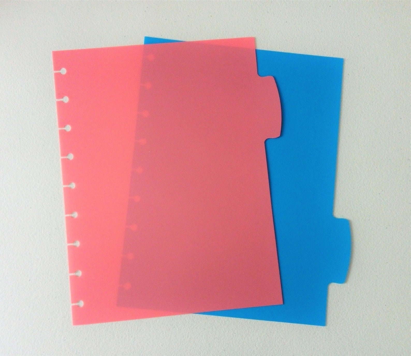 Disc Tab Dividers Index Dividers Daily Planner Divider | Etsy