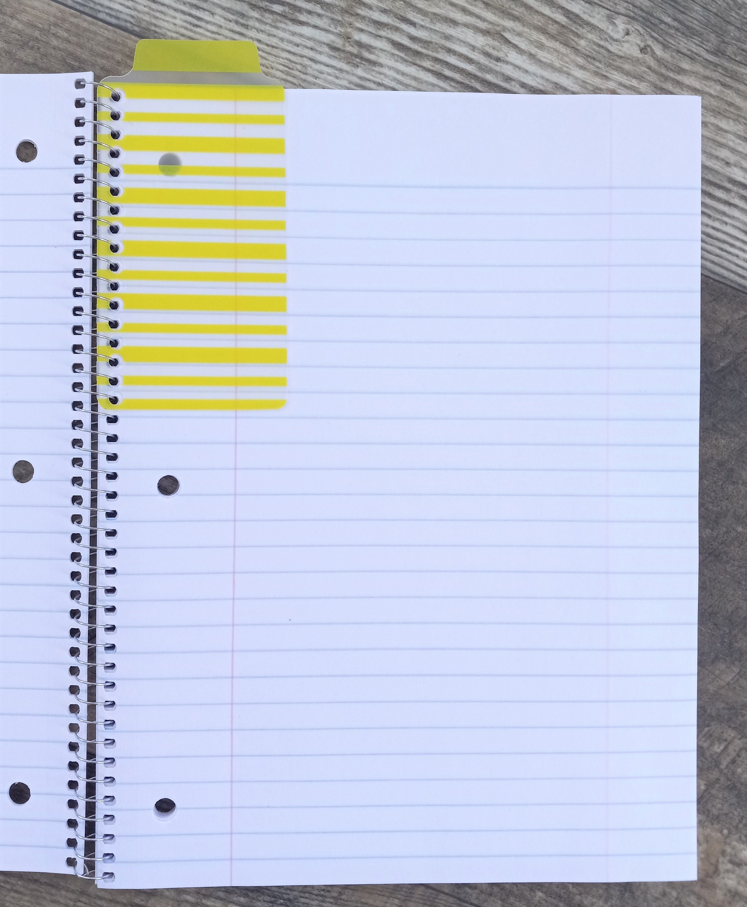 Plastic Planner Bookmark: Disc & Spiral Notebook Page Marker - Etsy