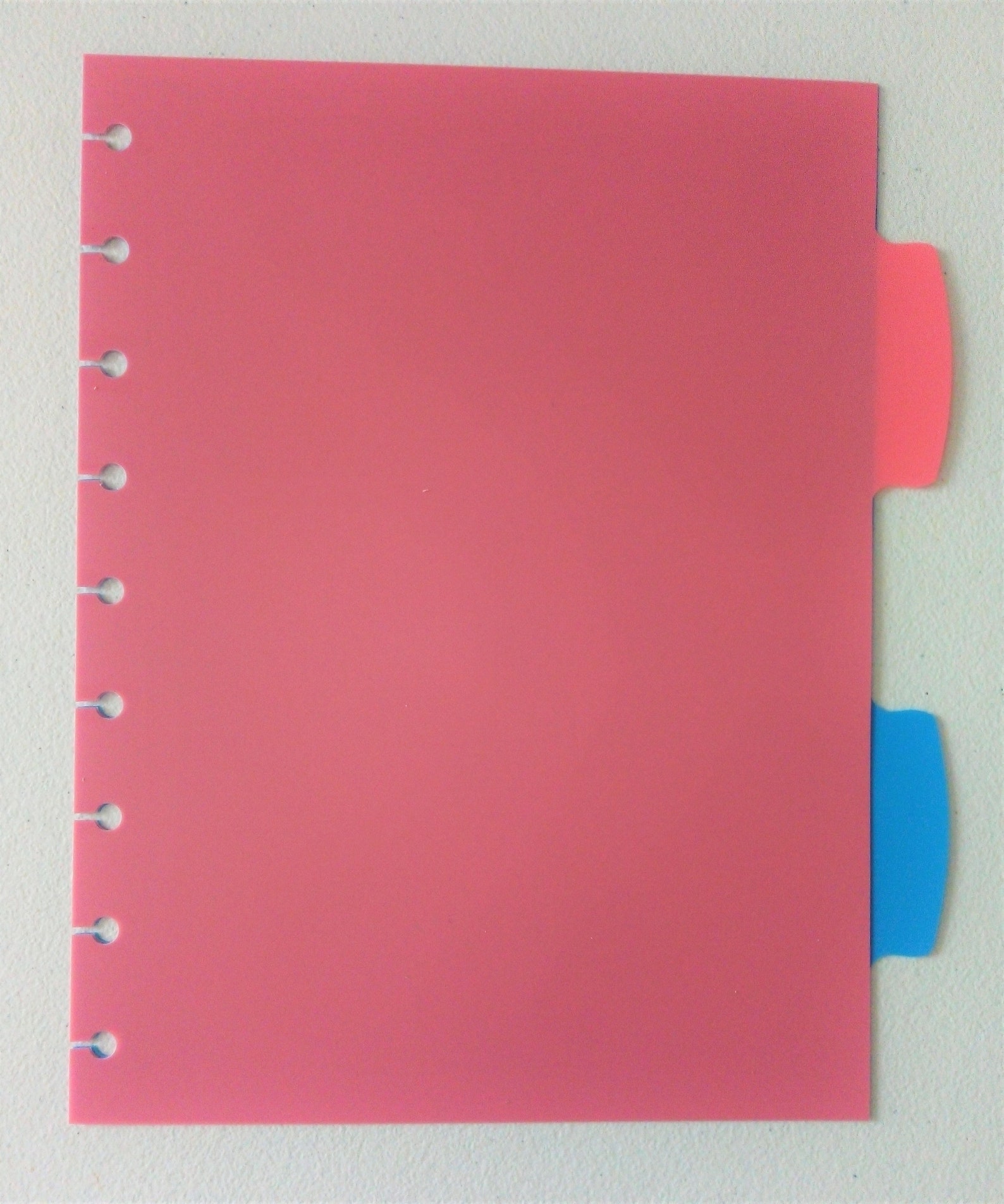 Disc Tab Dividers Index Dividers Daily Planner Divider | Etsy