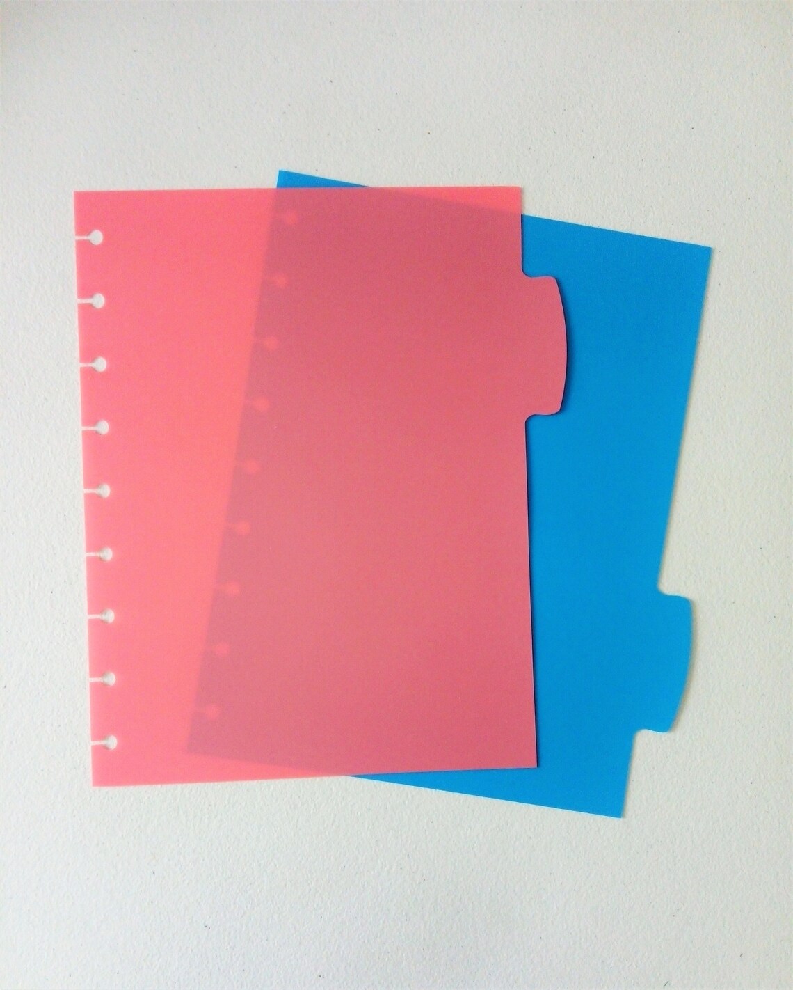 Disc Tab Dividers Index Dividers Daily Planner Divider | Etsy