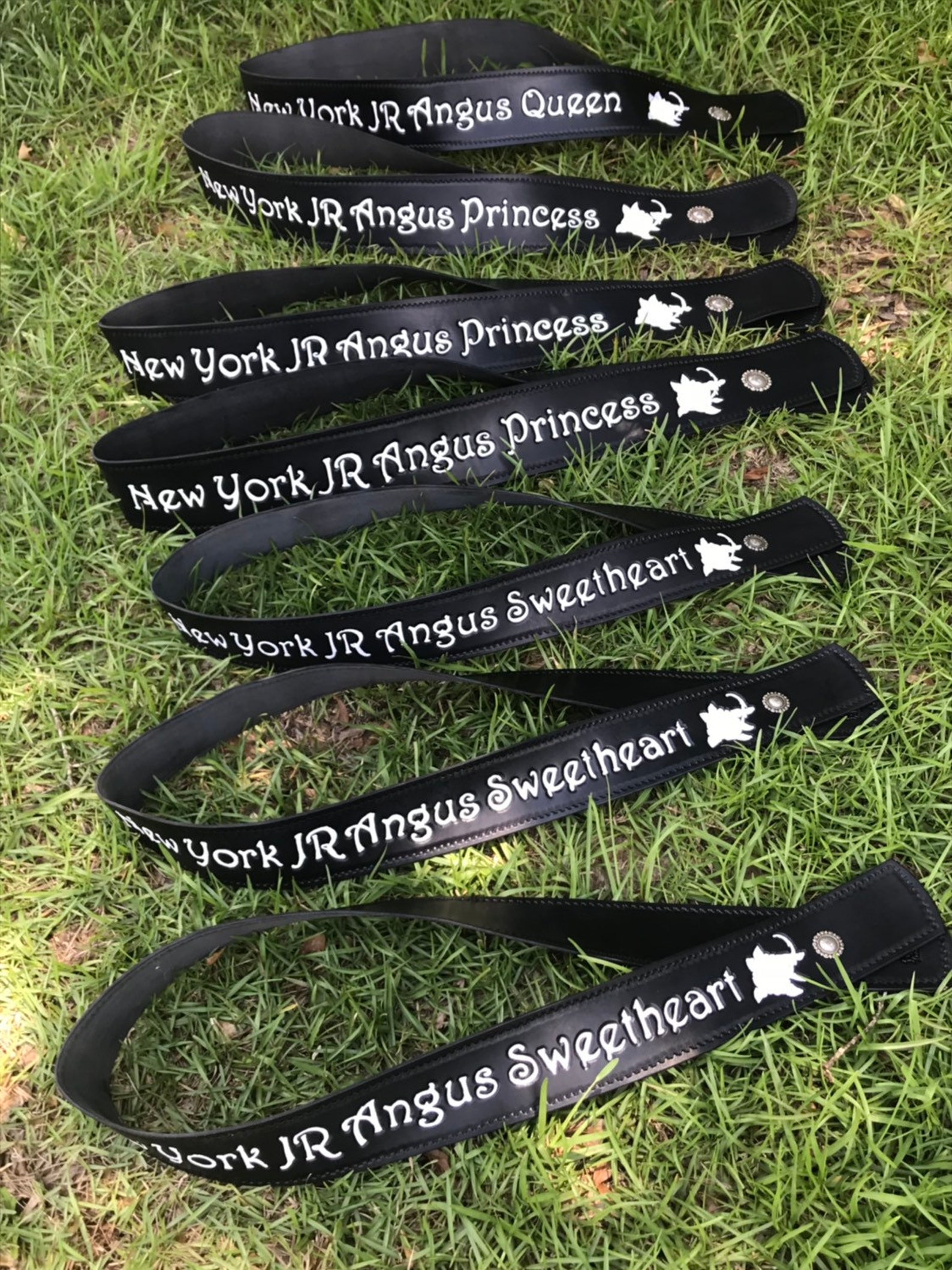 Mini Pageant Queen Sash | Etsy