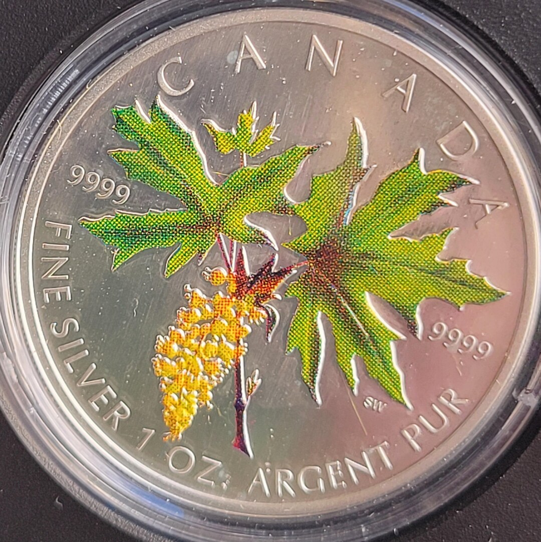 COIN Silver Collectible Silver Colorized Canadian Maple LEAF Coin 2005 ...