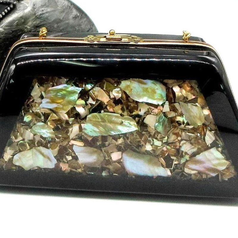 Shells in Lucite - Etsy